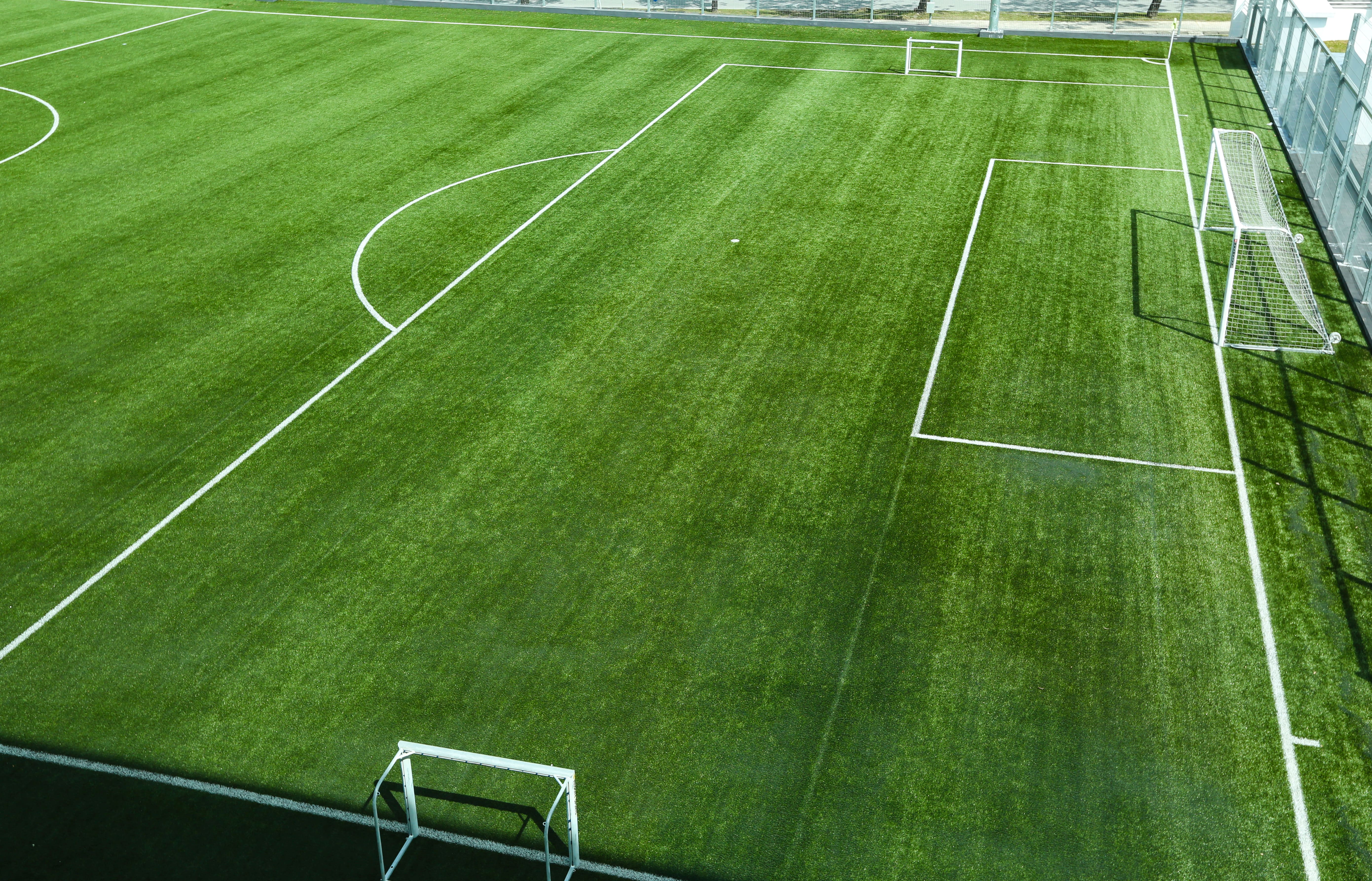 goalkeeper box rules