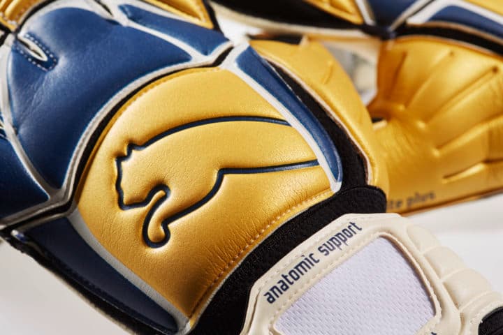 buffon gloves 2006