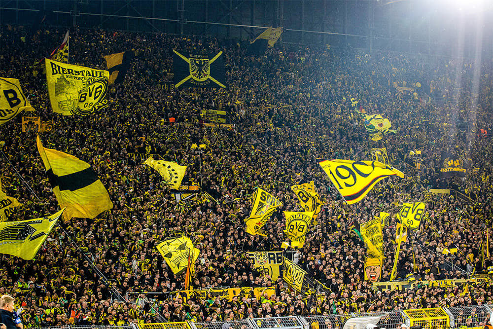 bvb display